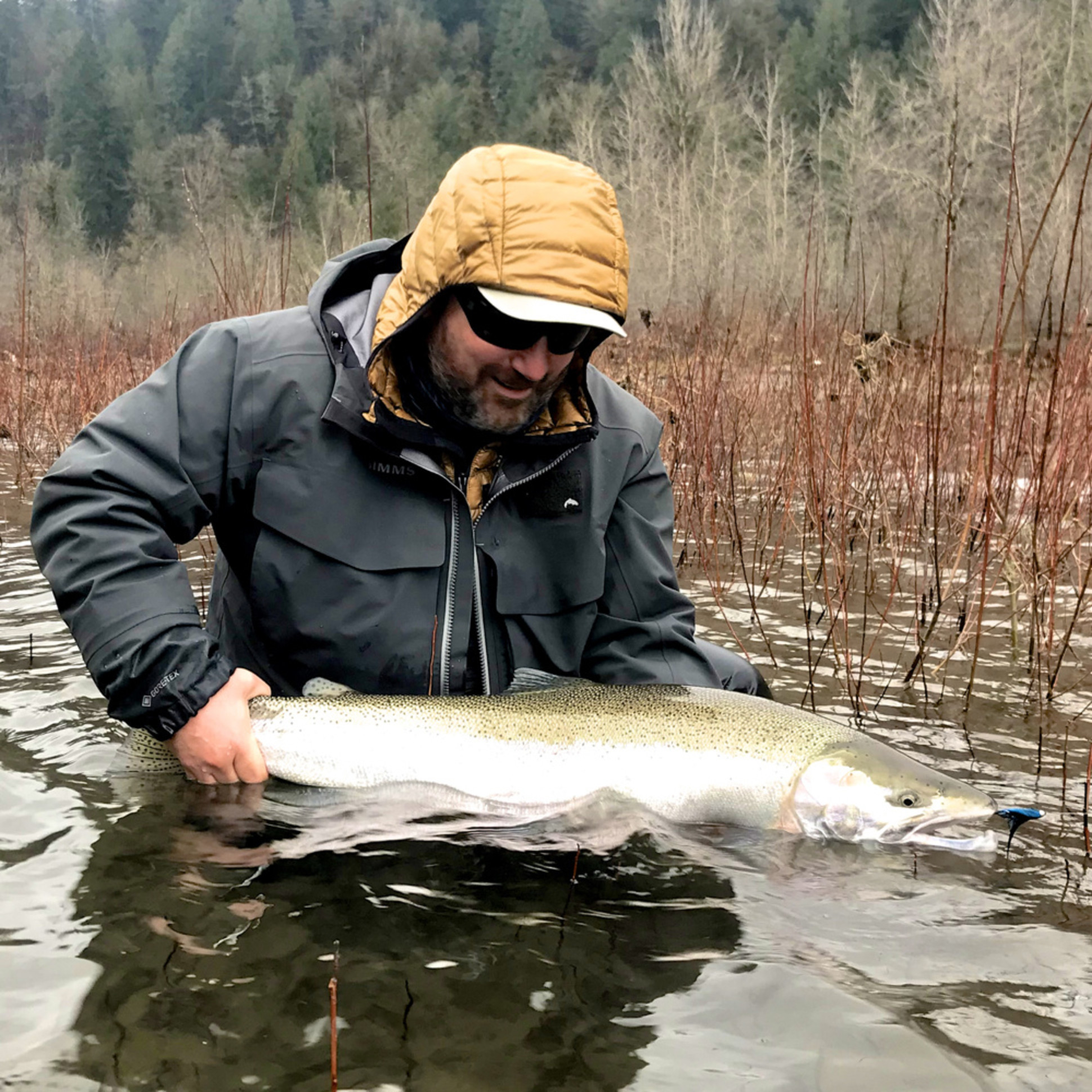 Latest Fly Fishing News And Reports Ten Thousand Casts Pays Off