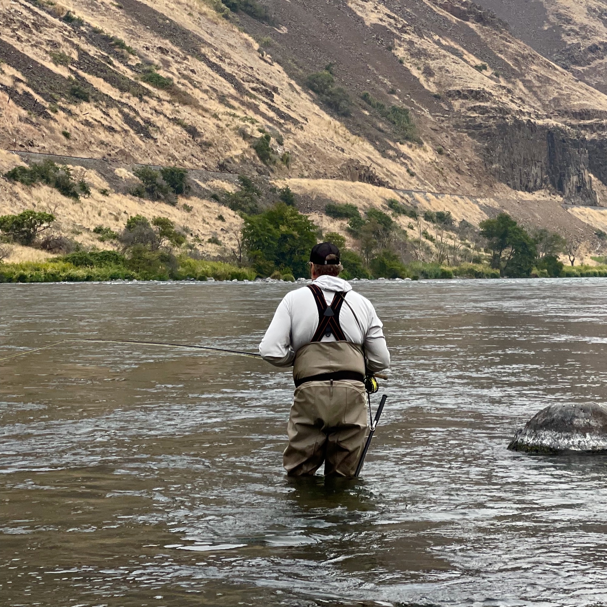 Latest Fly Fishing News and Reports - Big Andy Returns - Royal ...