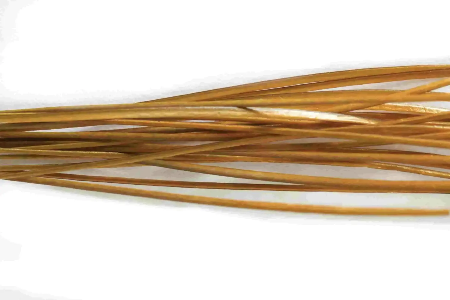 Fulling Mill Stripped Peacock Quills - Royal Treatment Fly Fishing