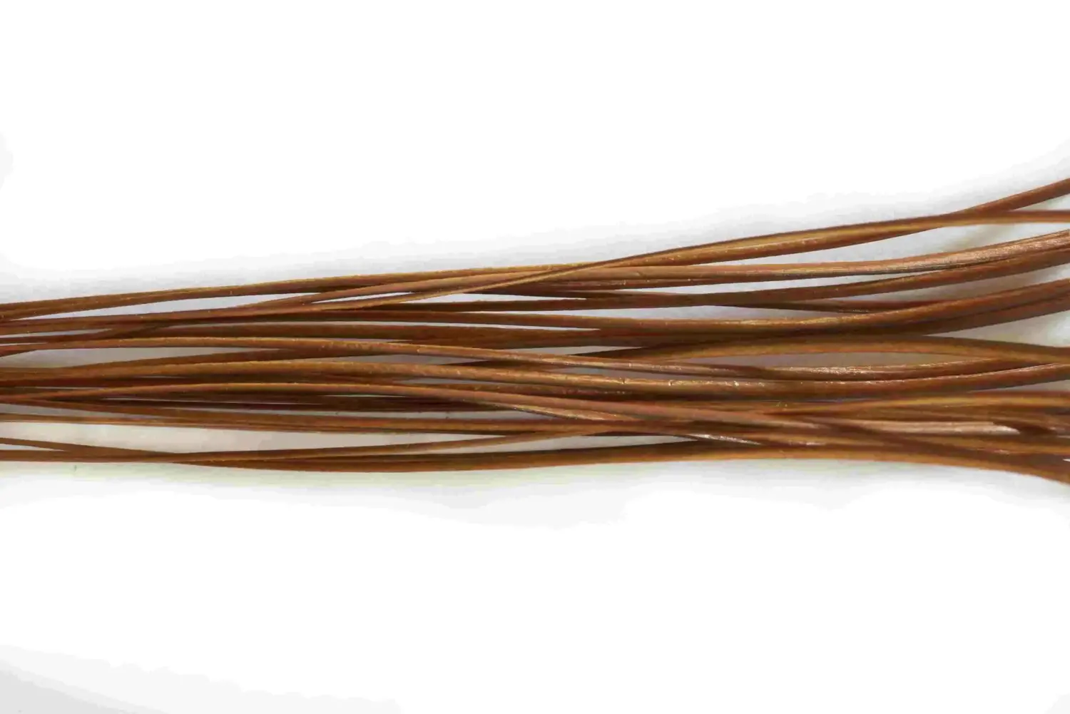 Fulling Mill Stripped Peacock Quills - Royal Treatment Fly Fishing