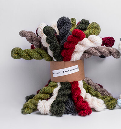 Blue Sky Woolstok Bundle Kit - Holiday Cheer - The Tinsmith's Wife