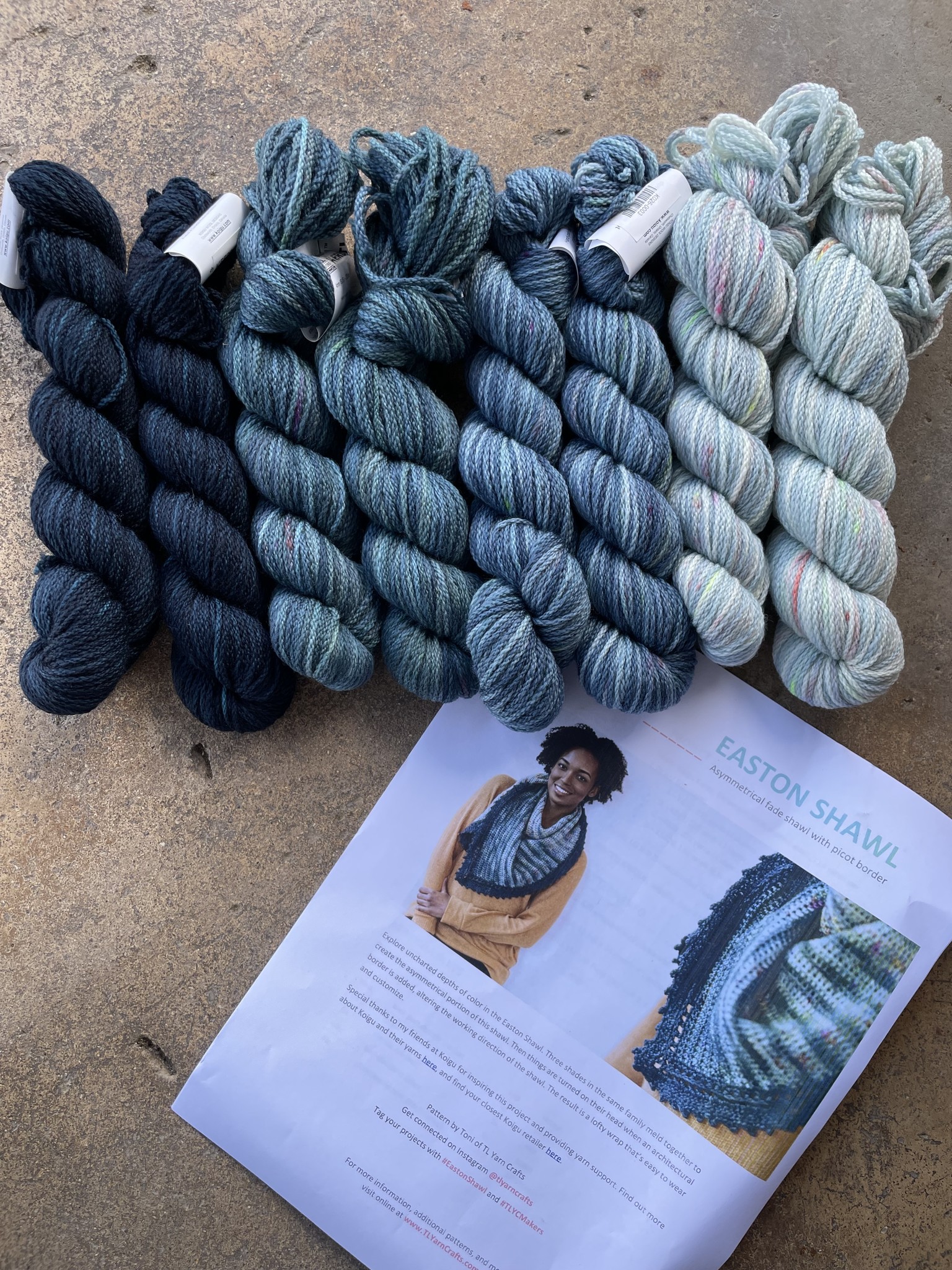 Koigu Kersti Fade Wrap Kit for Easton Shawl - The Tinsmith's Wife