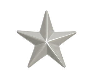 Air Force/Army O7 Rank Pin - Recognitions - Home of Morgan House ...