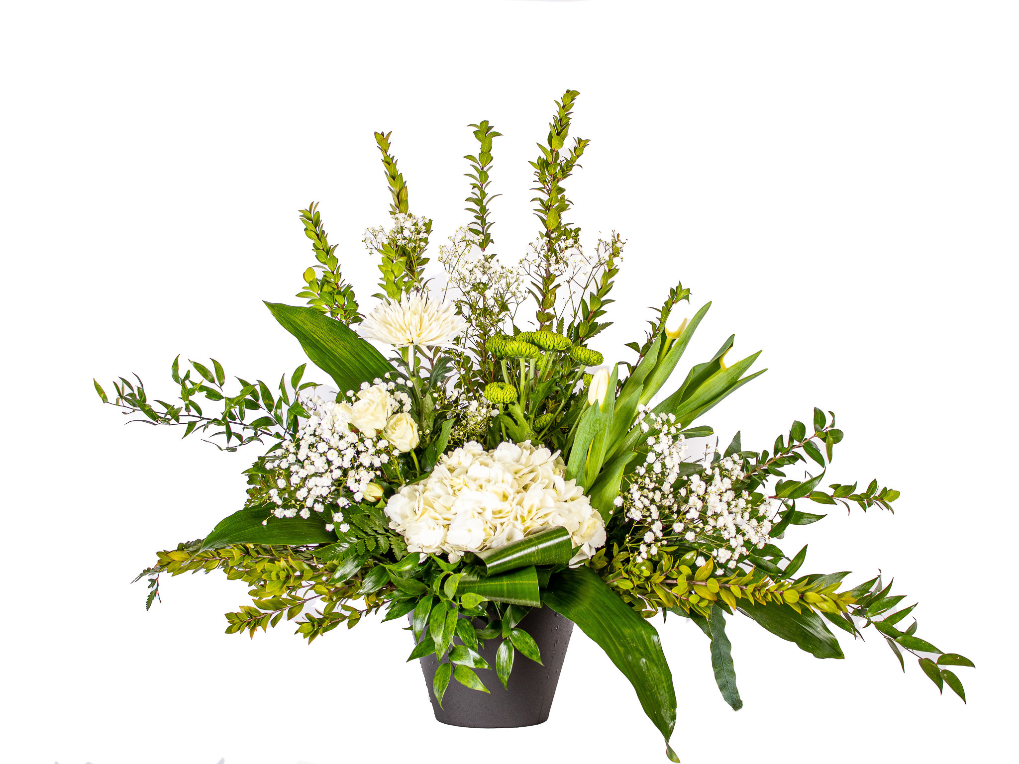 Blanc paisible - Signé Garneau