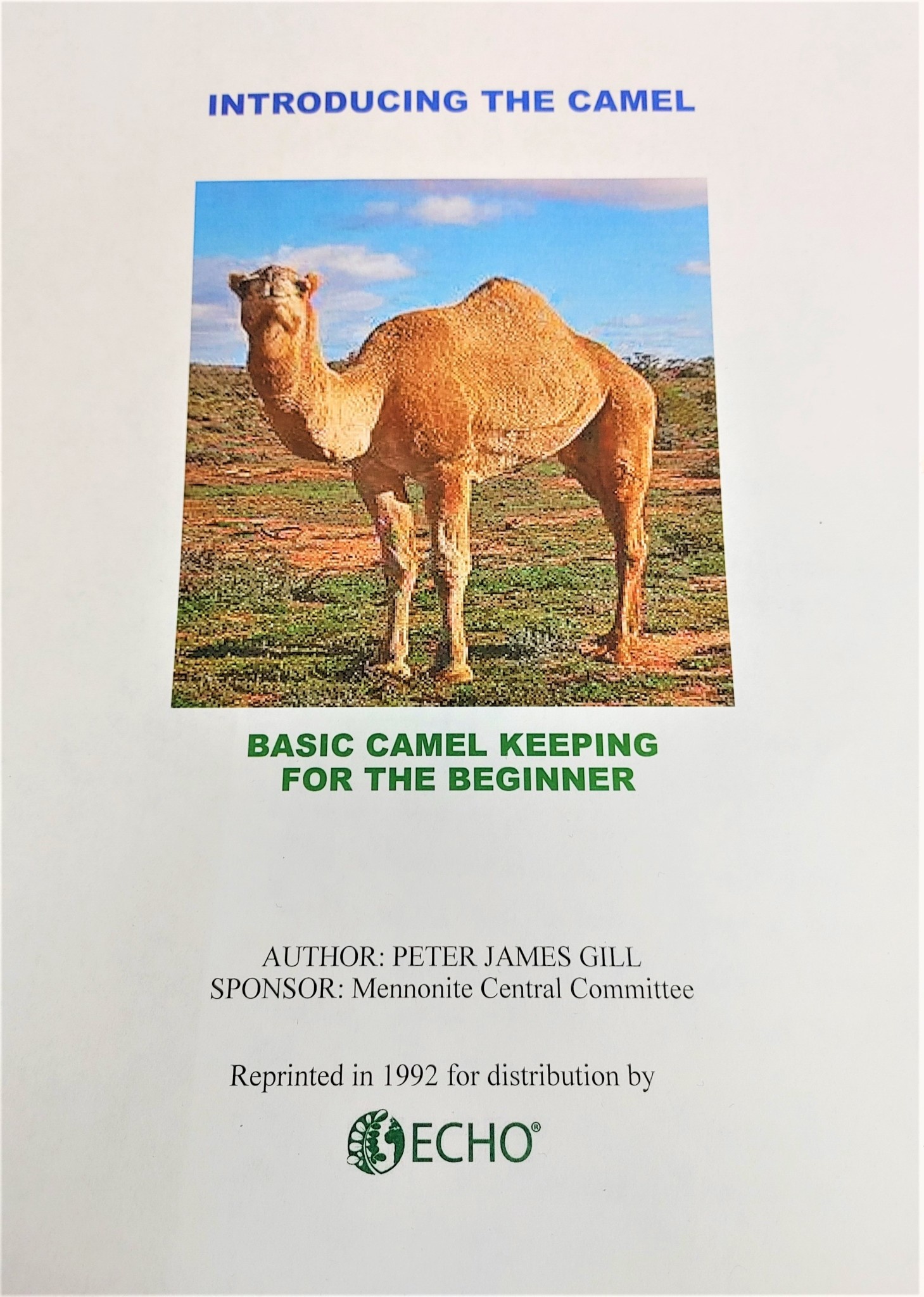 Introducing the Camel - ECHO Bookstore and Nursery