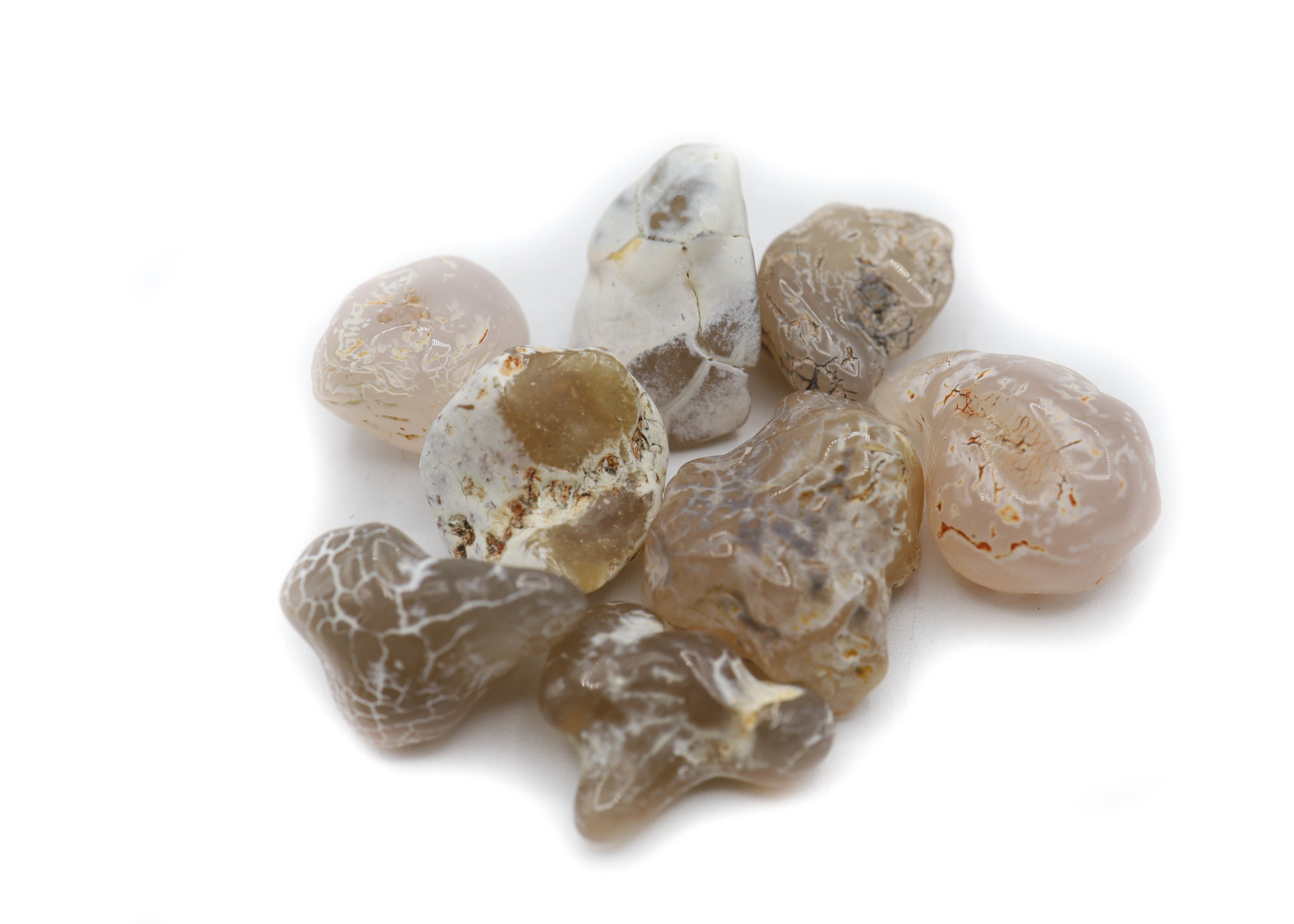 Snakeskin Agate - Pierres D'ailleurs