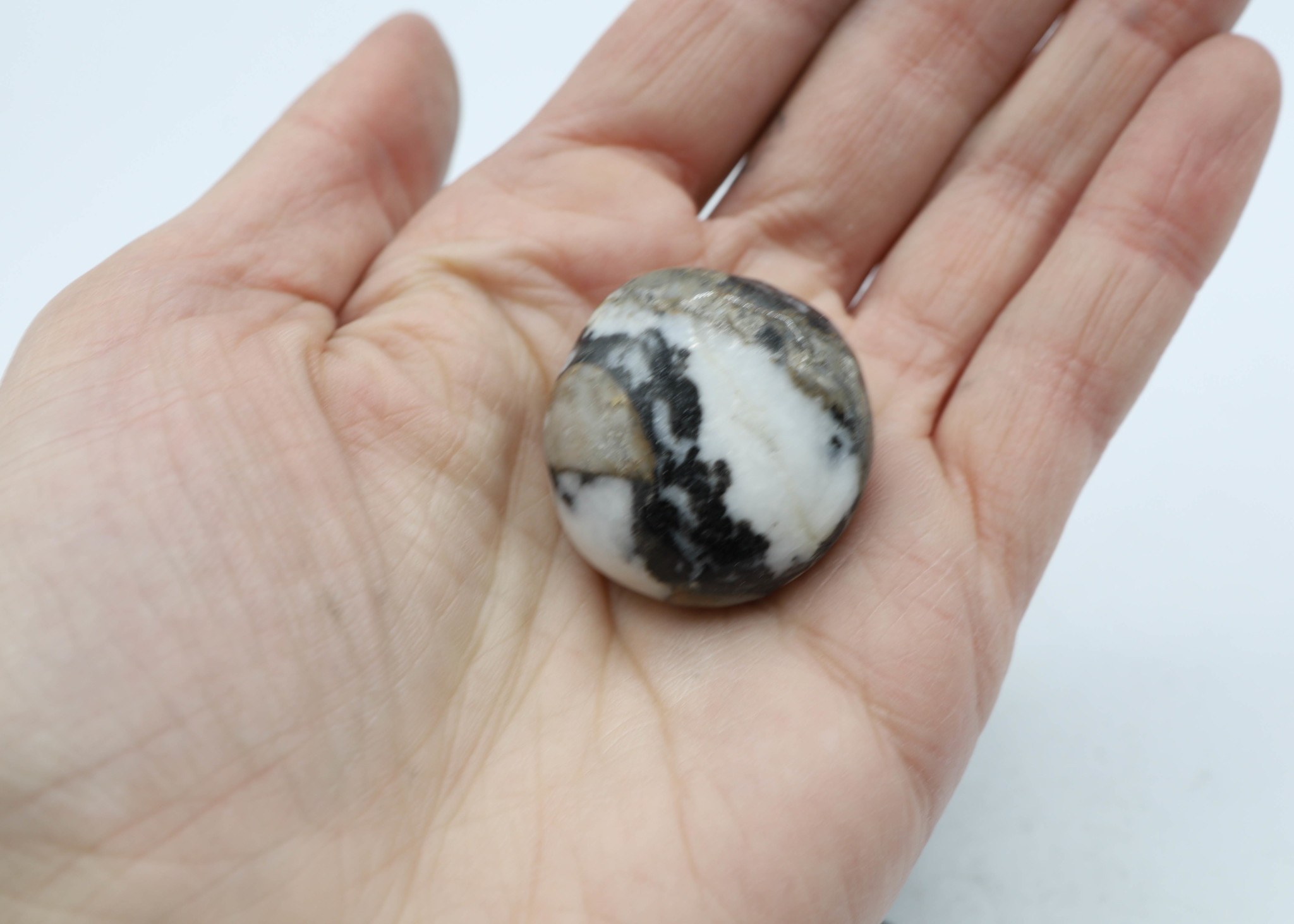 Zebra Agate - Pierres D'ailleurs