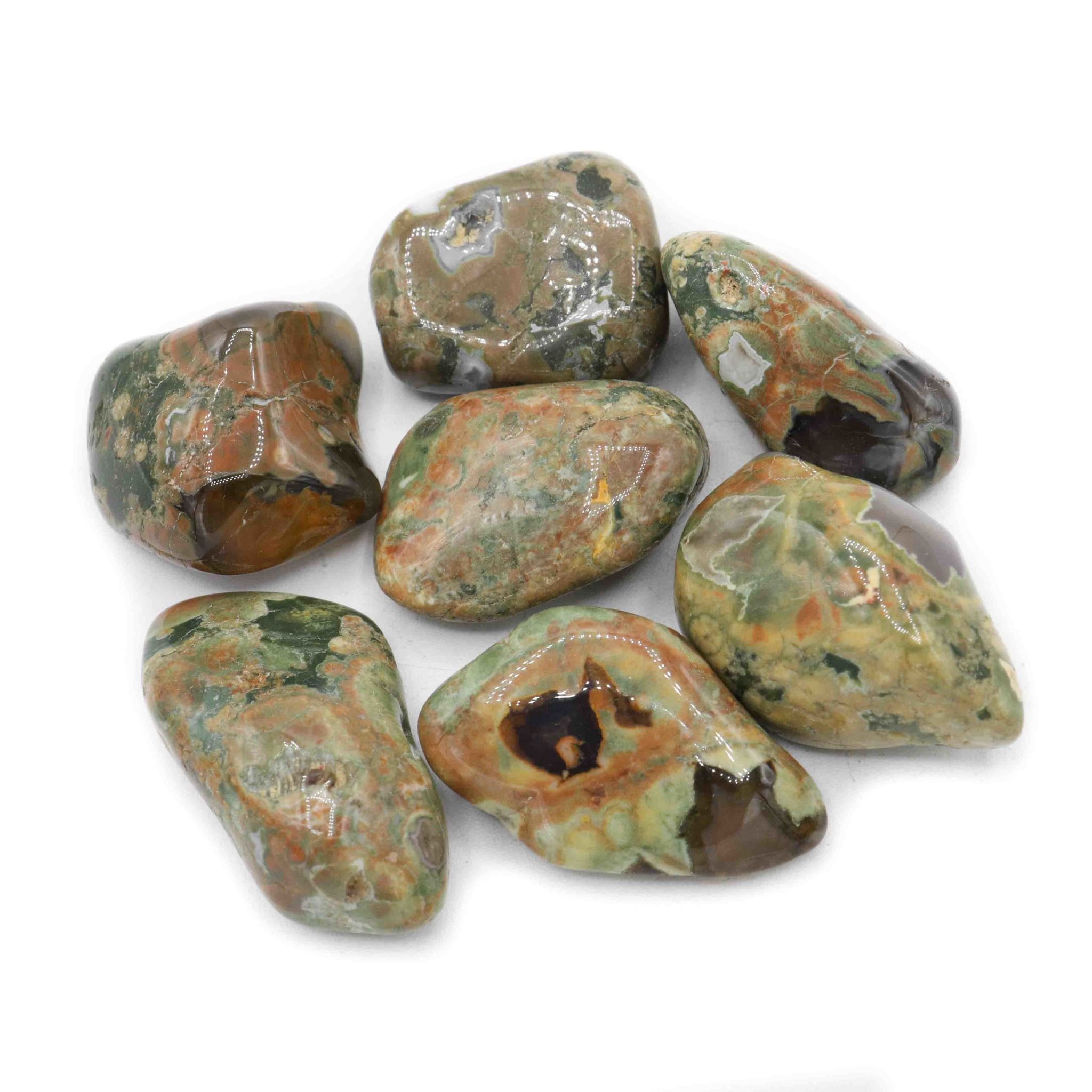 Rainforest Jasper - Pierres D'ailleurs