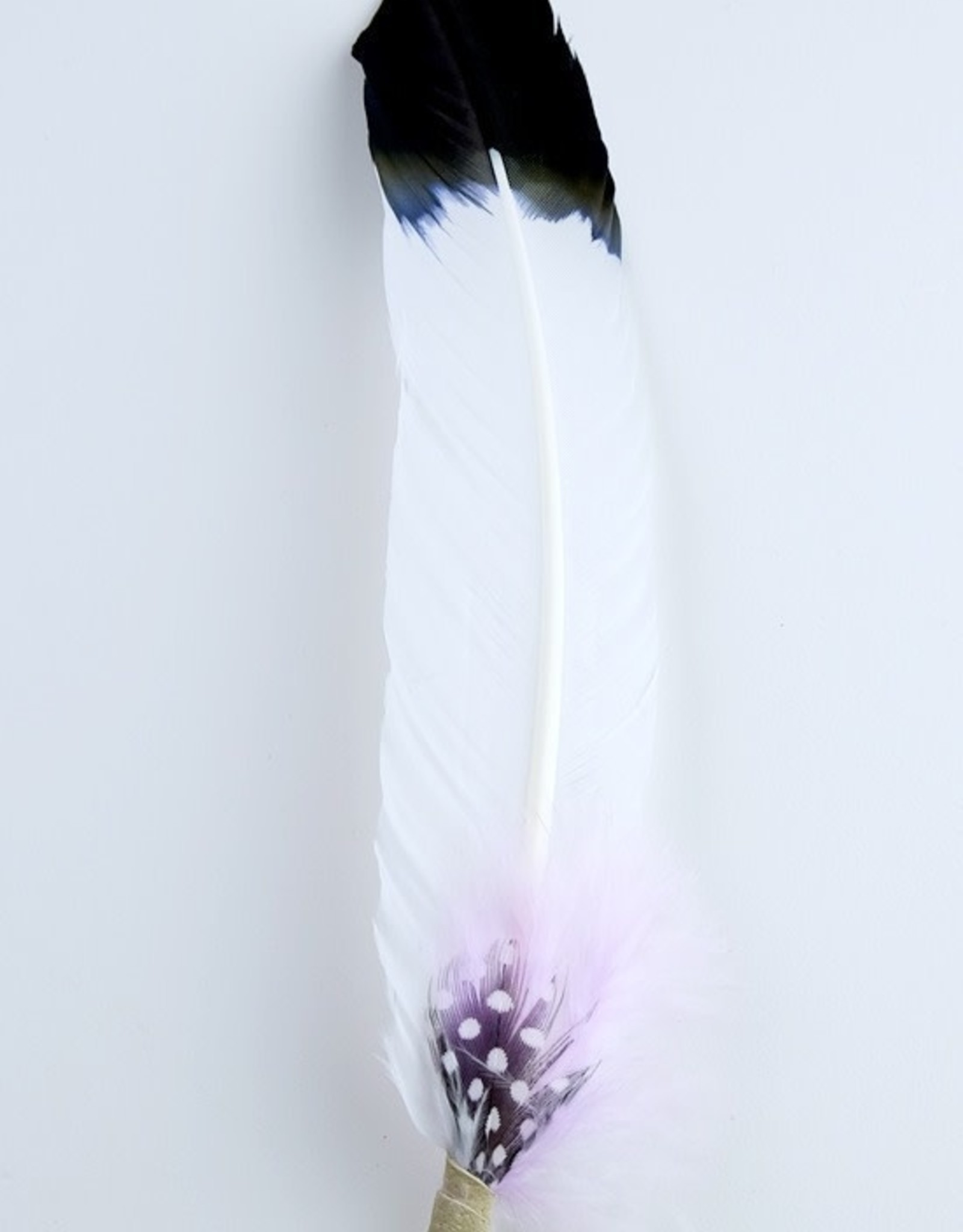 Turkey Quill Smudge Feather - SoulStar Metaphysics