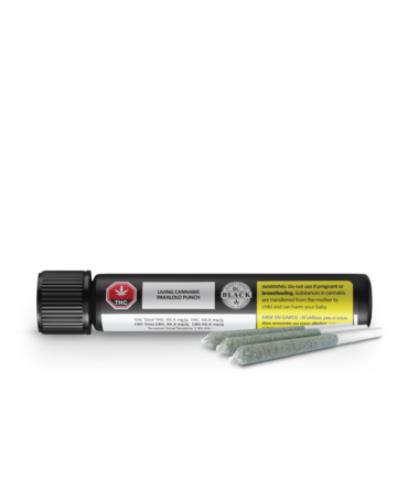 Pre-Rolled - Flamingo Vape Shop