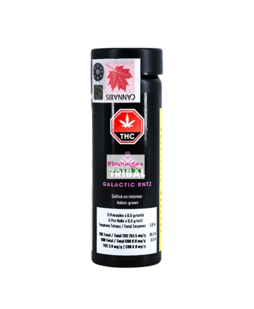 Flamingo Plus Cannabis | Vape Shop, Cannabis & Lifestyle Brand Retail ...