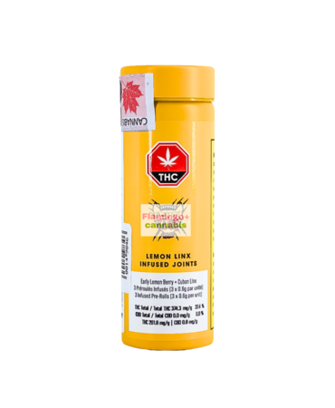 Flamingo Plus Cannabis | Vape Shop, Cannabis & Lifestyle Brand Retail ...