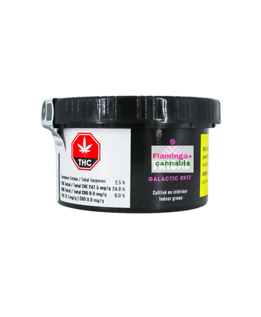 Manitoba's #1 Cannabis & Vape Shop | Same-Day Delivery Within Winnipeg ...