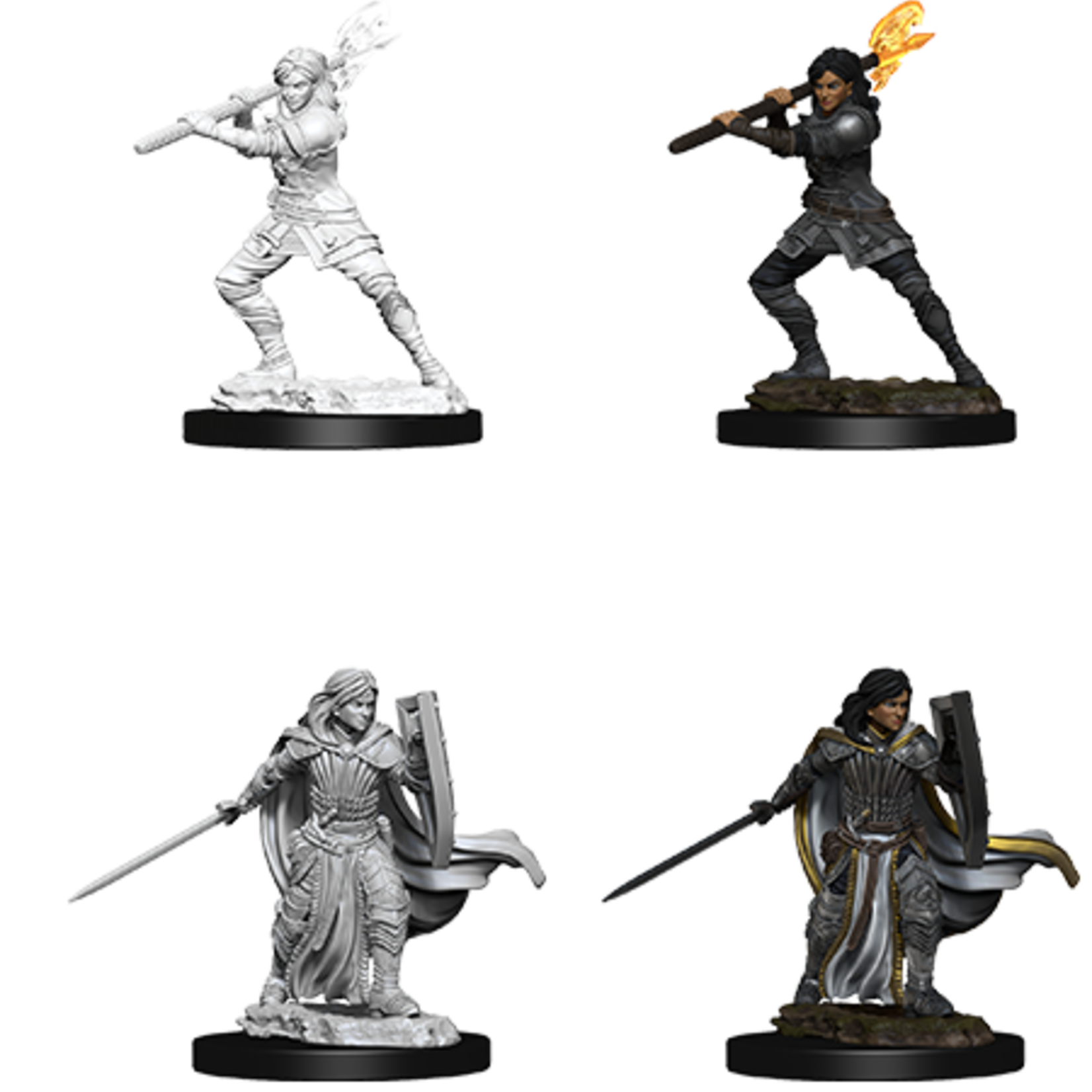 Dandd Paladin Miniature