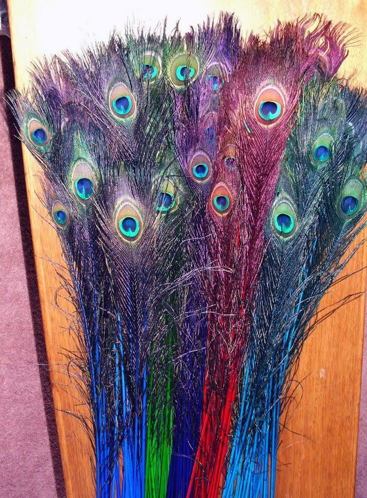 Peacock Feather Assorted Coloured Stems 25-30" - Samaroo's Limited