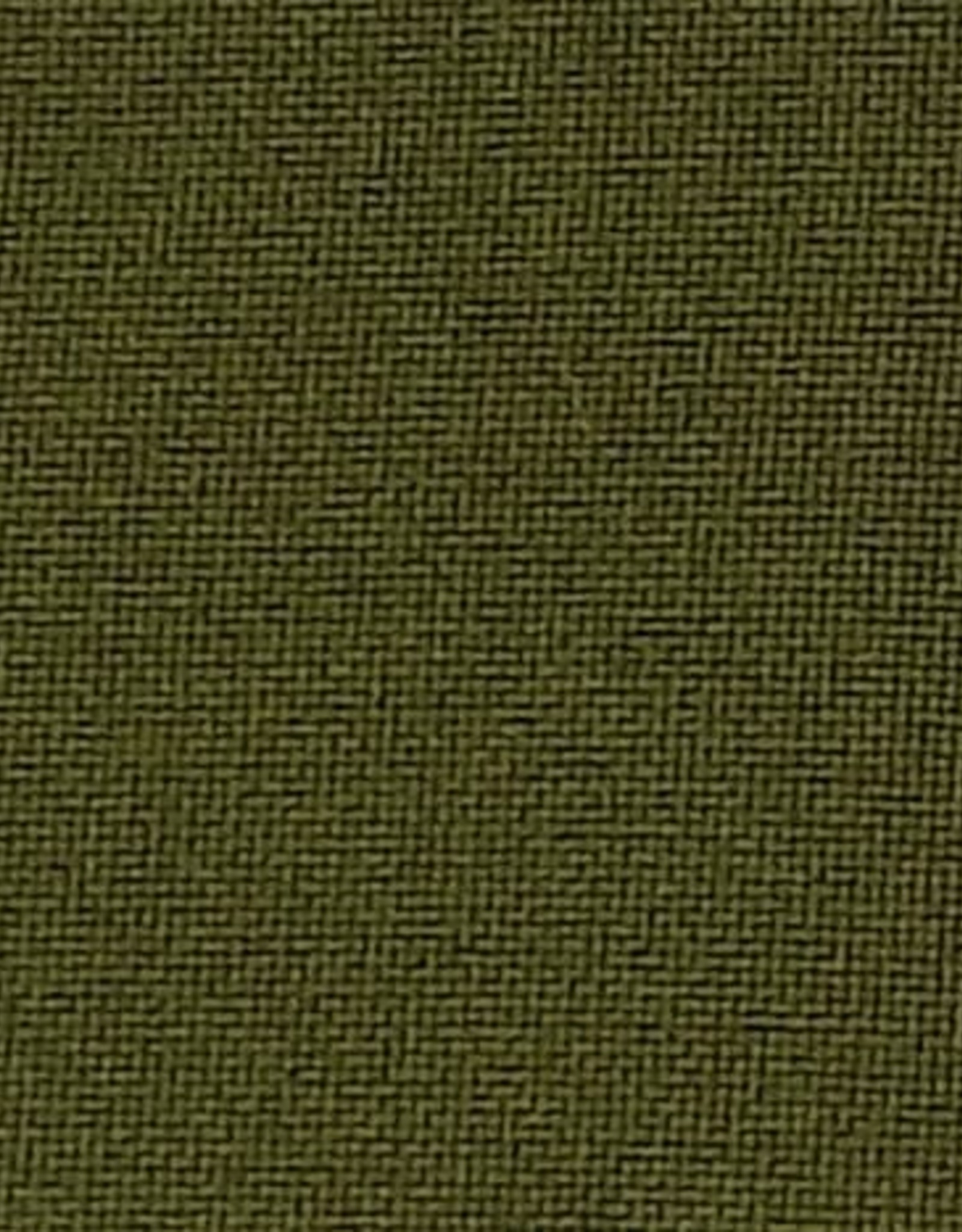 Tetrex 58-60 Inches Plain Olive Green - Samaroo's Limited