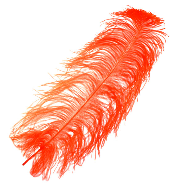 Premium Plumes 21-24 Inch Orange - Samaroo's Limited