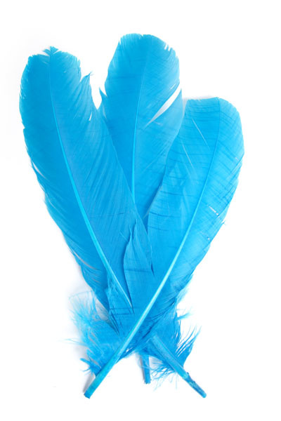 Turkey Quills 12-14 Inch 10 Pieces (5 left, 5 right) Turquoise Blue ...