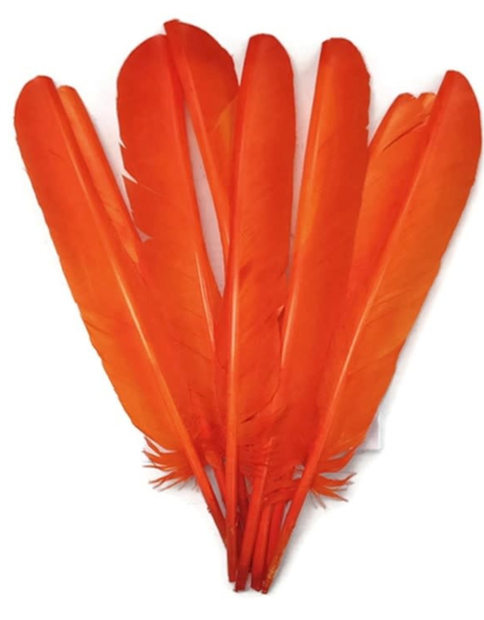 Turkey Quills 12-14 Inch 1 lb Bright Orange - Samaroo's Limited