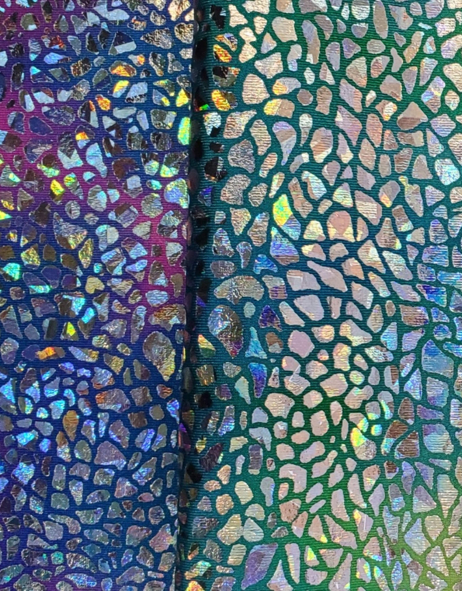 Spandex Holographic Shattered Glass Rainbow - Samaroo's Limited