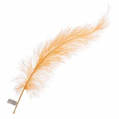 Premium Plumes 21-24 Inch Peach - Samaroo's Limited