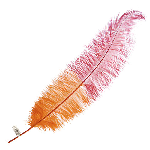 Premium Plumes 21-24 Inch Two Tone - Coney Island - Samaroo's Limited