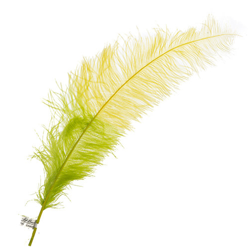 Premium Plumes 21-24 Inch Two Tone - Lemon/Lime - Samaroo's Limited