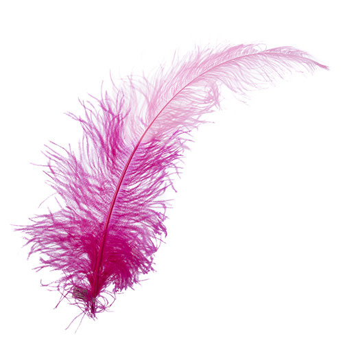 Premium Plumes 21-24 Inch Two Tone - Pretty In Pink - Samaroo's Limited