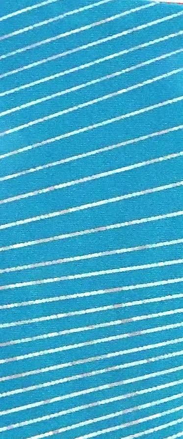 Holographic Spandex Lines - Samaroo's Limited