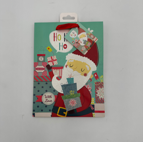 CHRISTMAS MED GLITTERED BAG SANTA - Samaroo's Limited