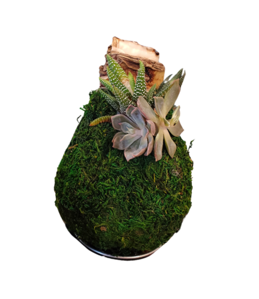 Christopher's Gifts & MaGift's | STLGIFT - Christopher's Gifts & MaGift's | STLGIFT