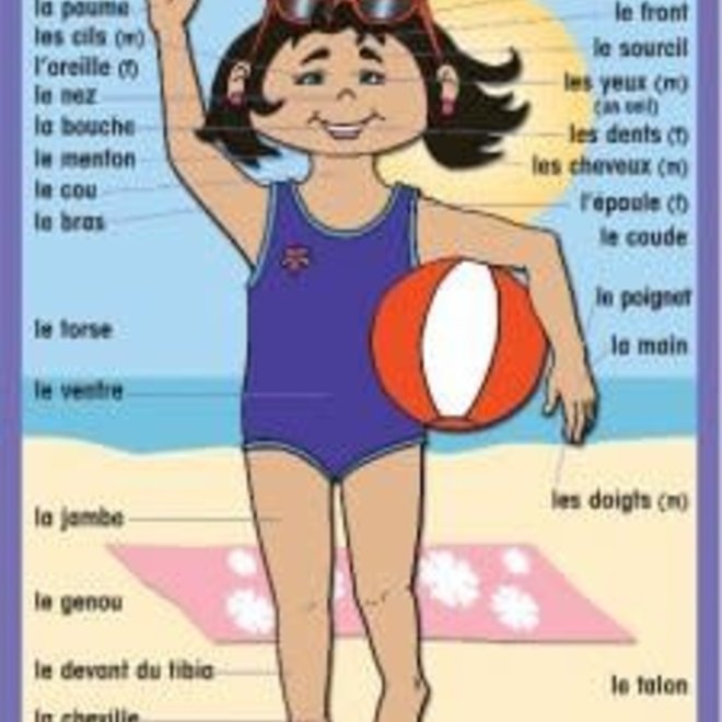 French Poster - les parties du corps - Inspiring Young Minds to Learn