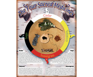The Four Sacred Medicines - Inspiring Young Minds to Learn
