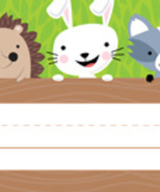 Nameplates/Name Tags - Inspiring Young Minds to Learn