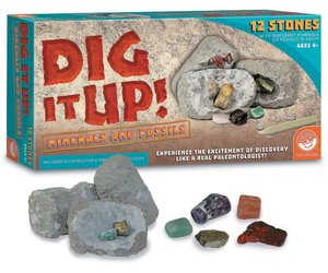 Dig it Up! Minerals and Fossils - Inspiring Young Minds to Learn