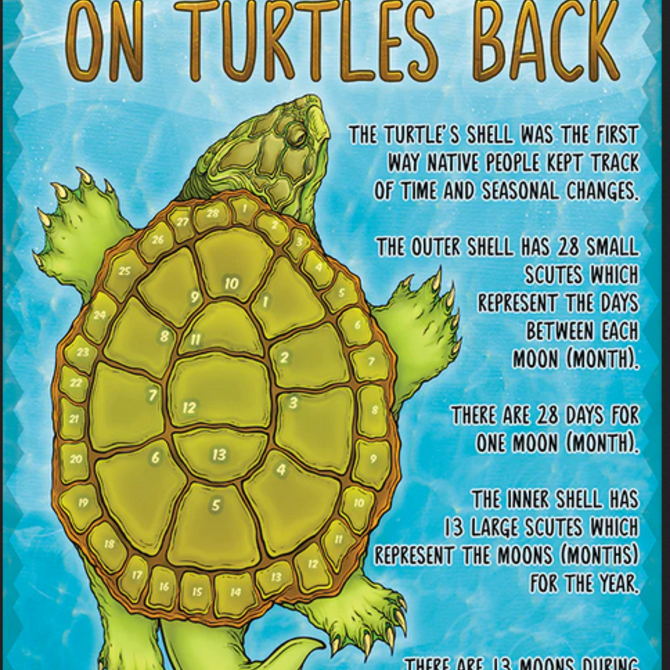 Seven Teachings (Swirl) - Inspiring Young Minds to Learn