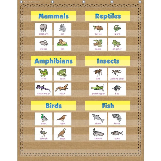 Burlap 10 Pocket Chart - Inspiring Young Minds to Learn