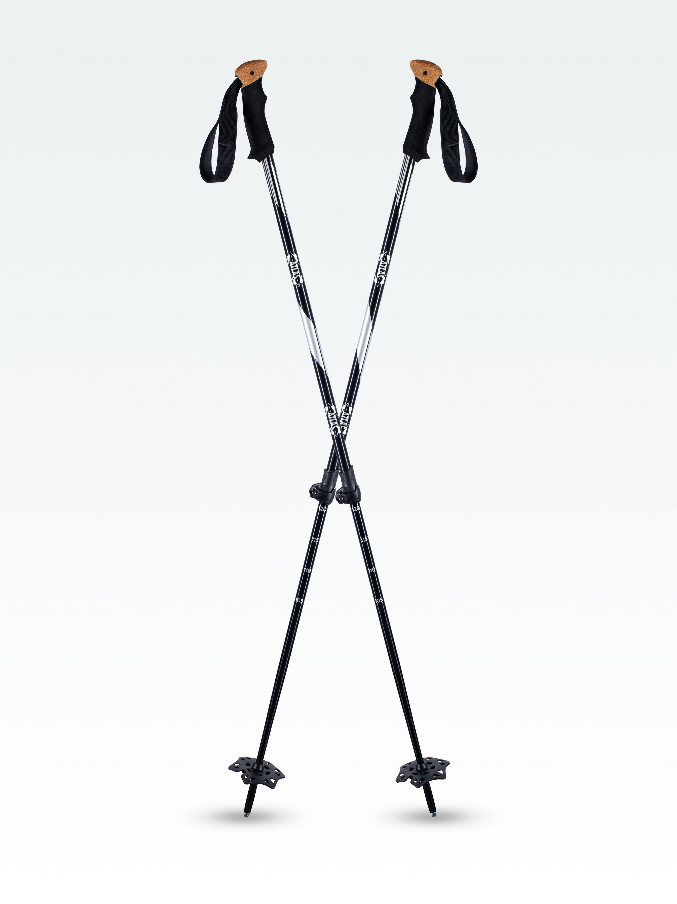 Atlas Trail Walking 2 Piece Poles | The BackCountry in Truckee, CA ...