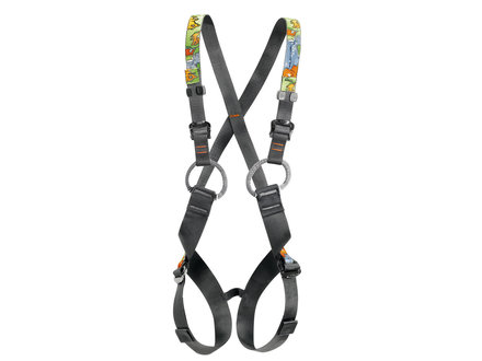 Petzl Omni Carabiner Screw Lock | The BackCountry in Truckee, CA - The ...