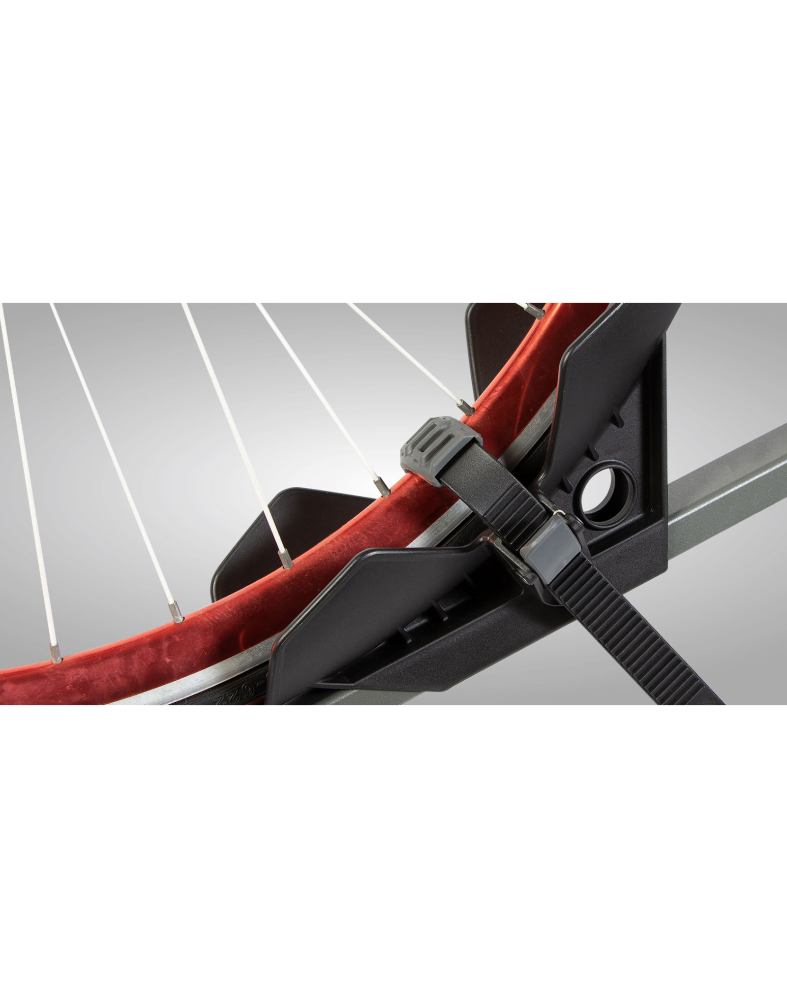 BuzzRack-Buzzy Bee H2 - The Bike Garage