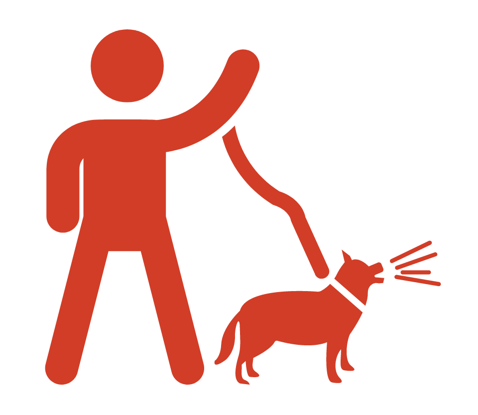 What Is A Reactive Dog