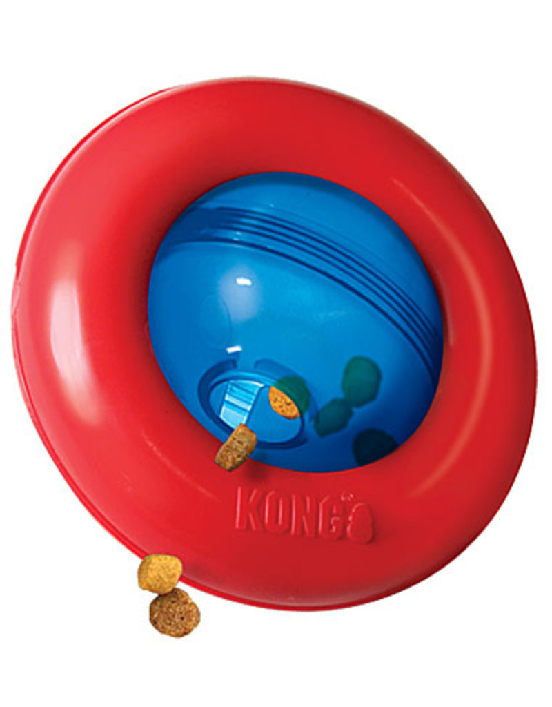 KONG KONG Gyro Toy - The Fish & Bone