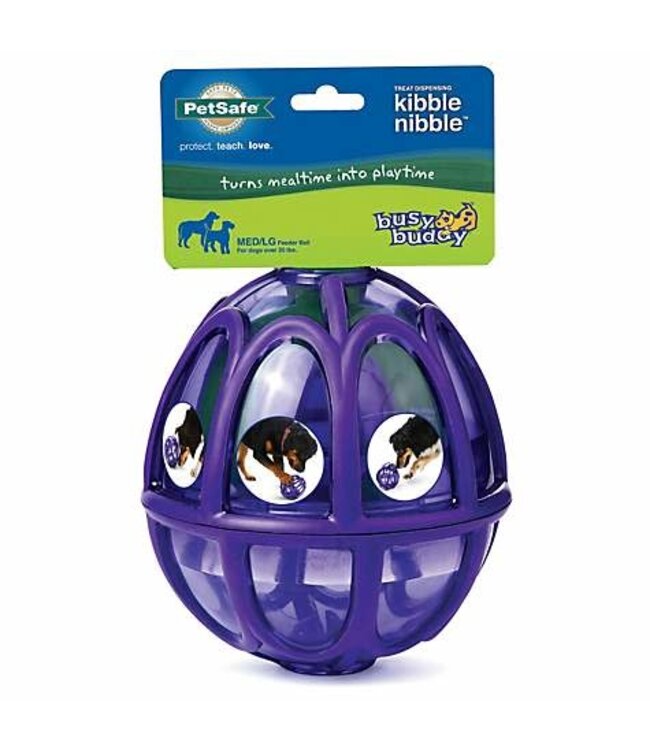 PETSAFE BUSY BUDDY Kibble Nibble Puzzle Toy - The Fish & Bone