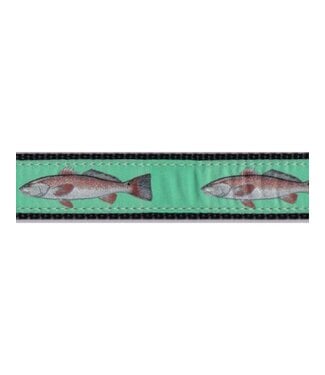 Pet Supplies, Apparel, & Natural Pet Foods In Portland, ME & Boston, MA ...