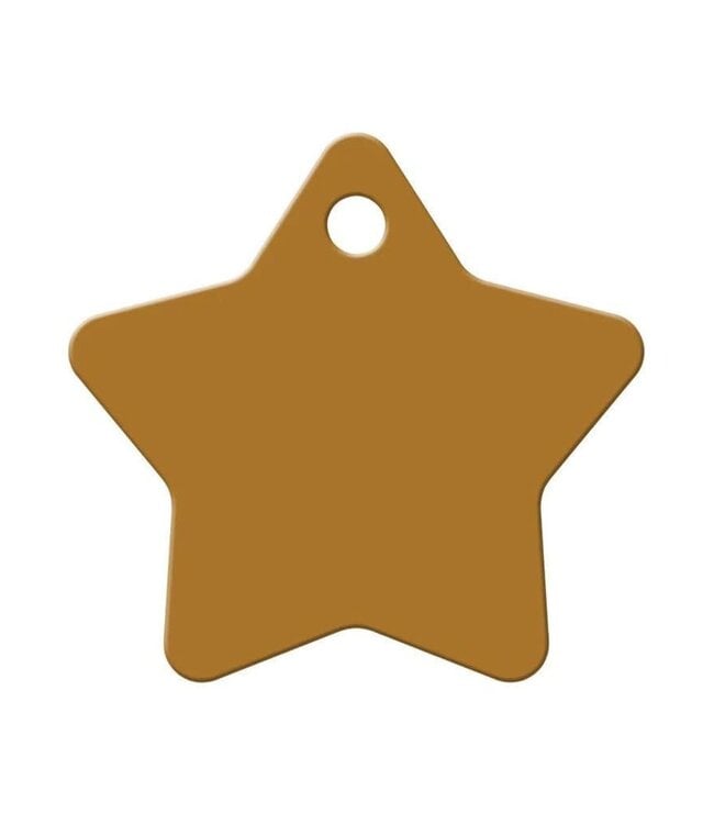 Tag Dark Gold Star - The Fish & Bone Tag Dark Gold Star - The Fish & Bone
