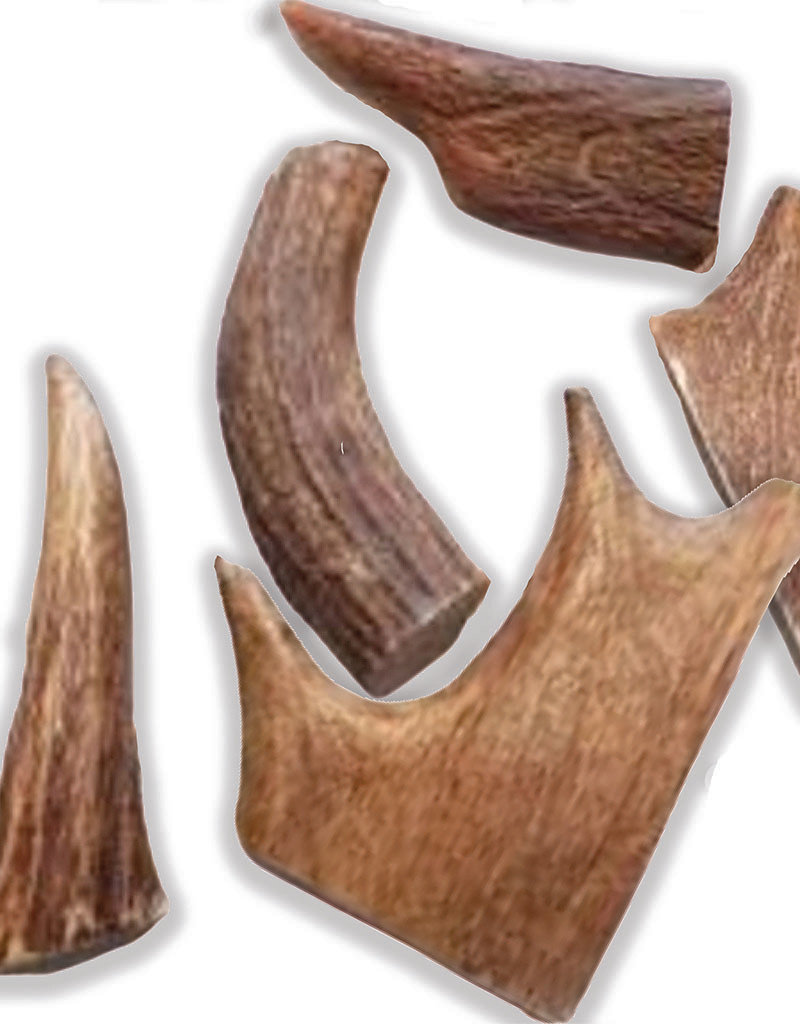 Yellowstone FISH & BONE Moose Antler by the Ounce - The Fish & Bone