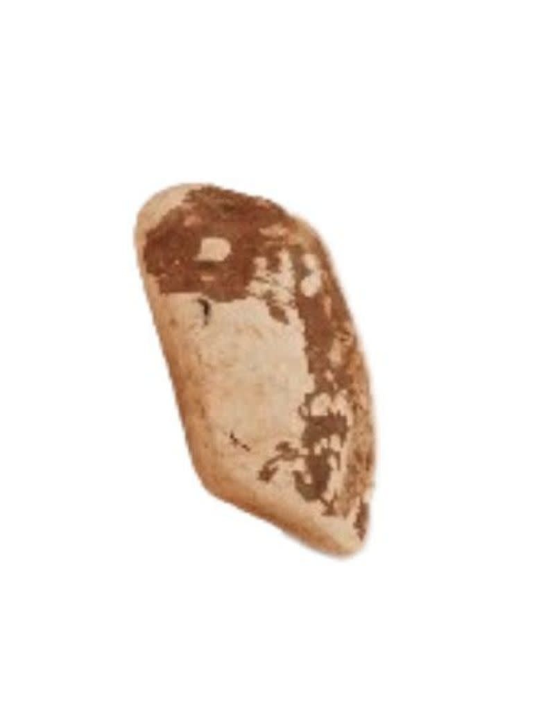 CANOPHERA Briar Wood Chew - The Fish & Bone