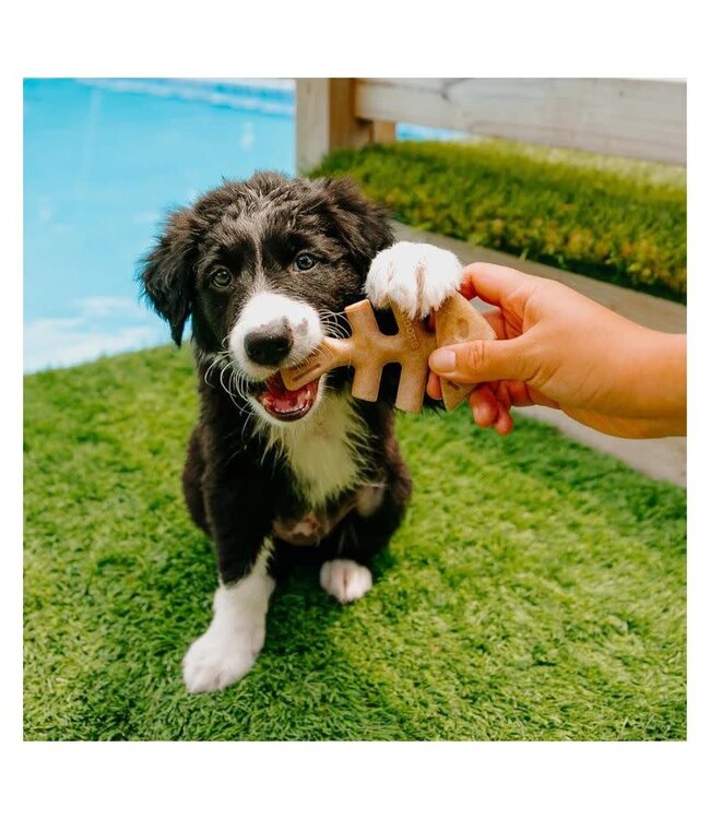 BENEBONE Tiny Fish 2 Pack - The Fish & Bone