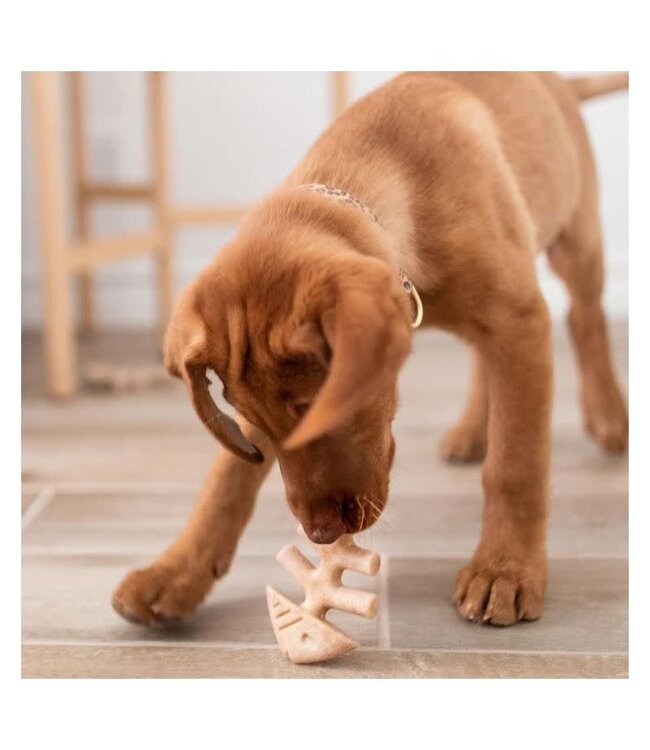 BENEBONE Puppy Fish 2 Pack - The Fish & Bone