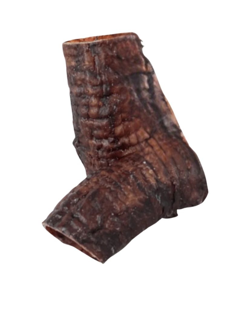 FISH & BONE Bison Trachea - The Fish & Bone